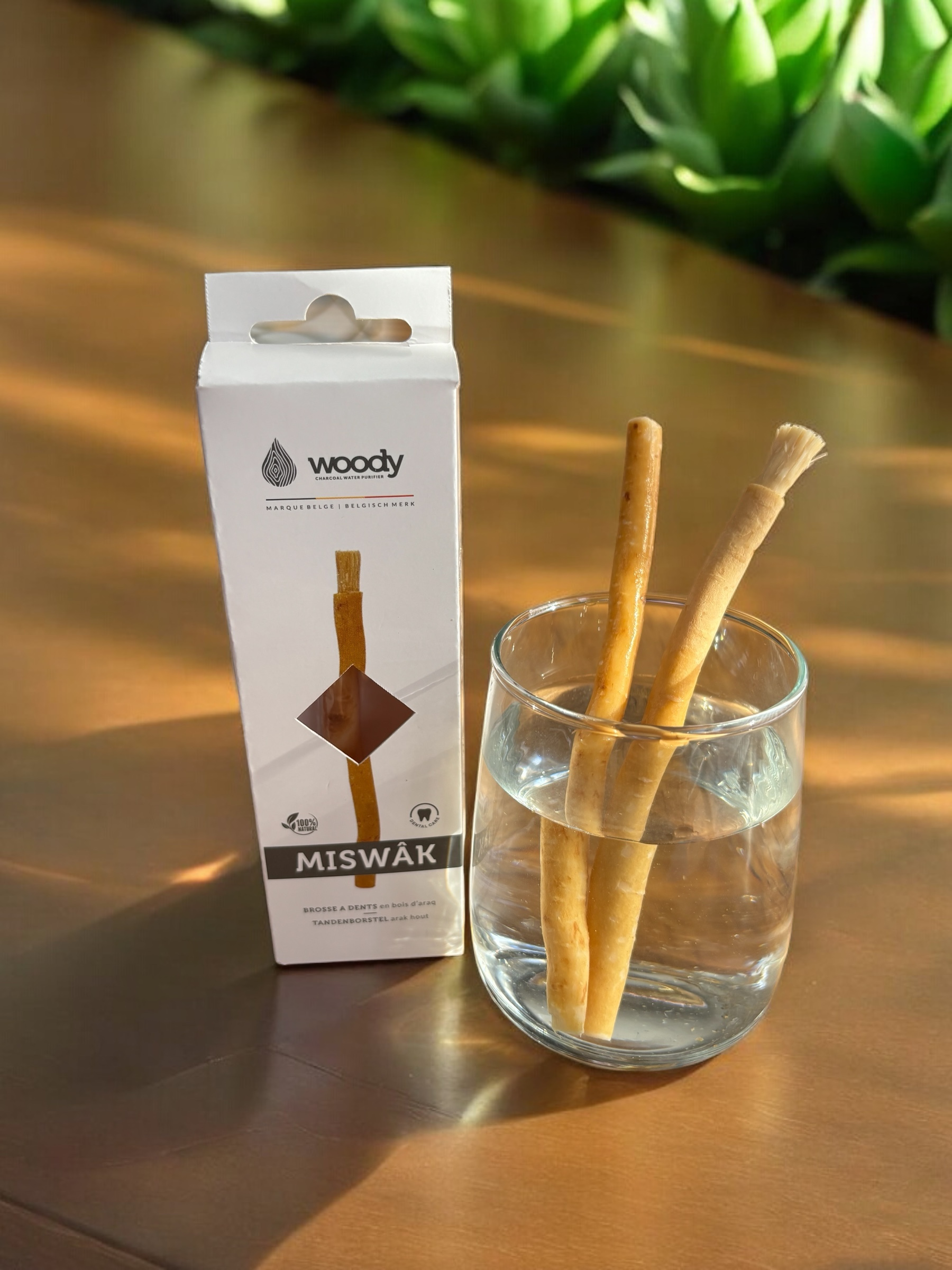 Miswak met reisstandaard